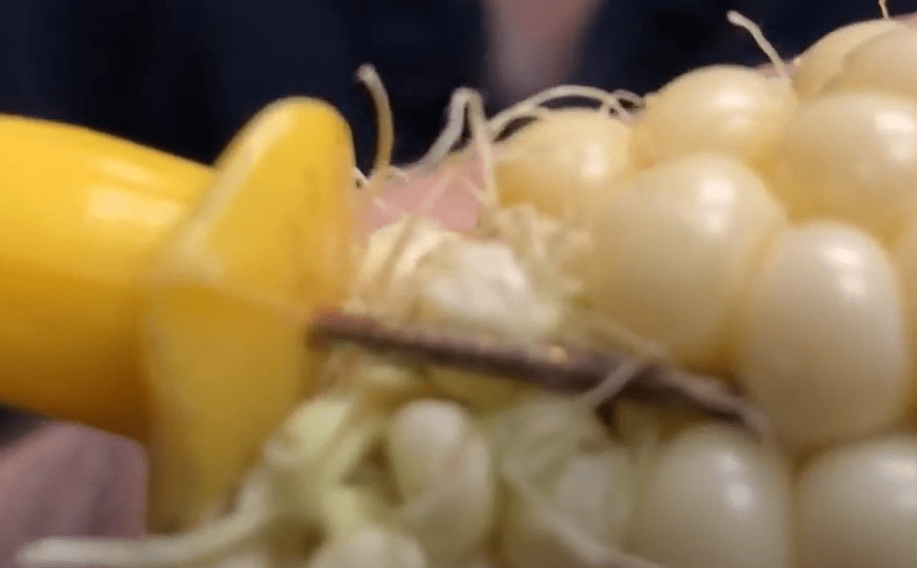 Corn on the Cob and Your Teeth: WATCH OUT FOR THE PRONGS! | Valley of ...